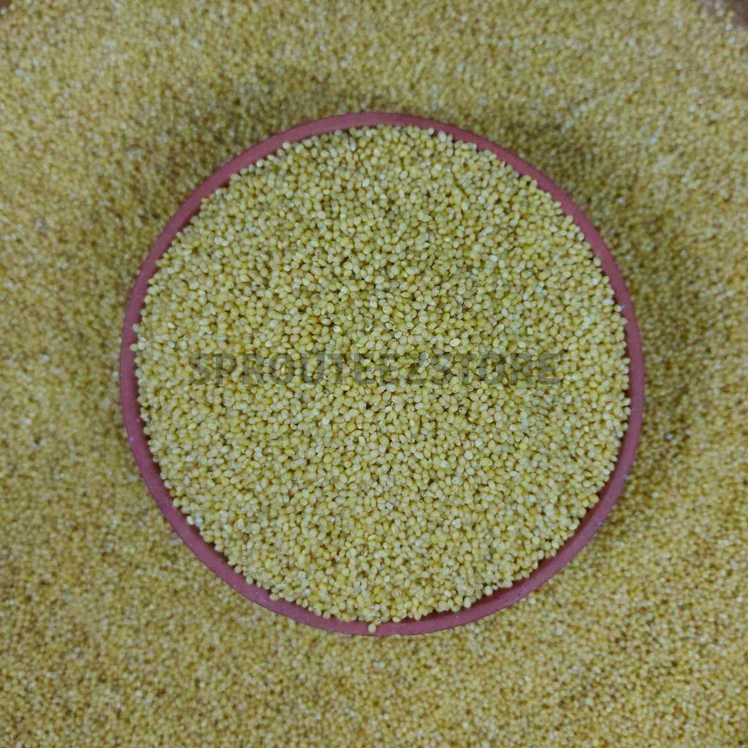 Unpolished Foxtail Millet | Thinai | Positive millet – Sprouteez Store